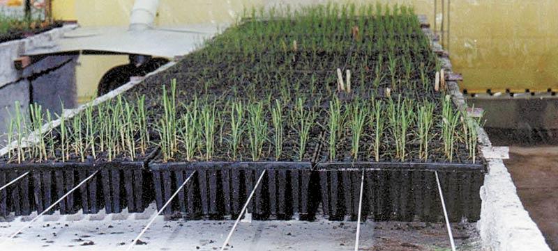 La Eaoc cumple cien años de servicio al agro