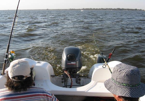 Secretos para pescar dorados con trolling