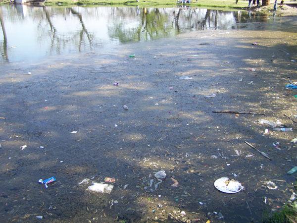 ¿Quién se anima a meterse en el lago San Miguel?