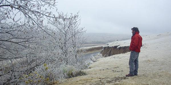 El garrotillo pintó los cerros de blanco