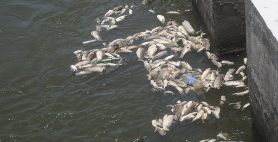 Procesan a 14 industriales tucumanos por la contaminación del Salí