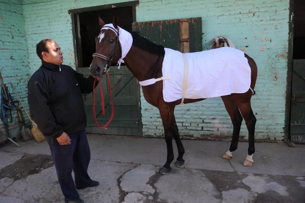 Old Slack, el zaino que volvió de las cenizas