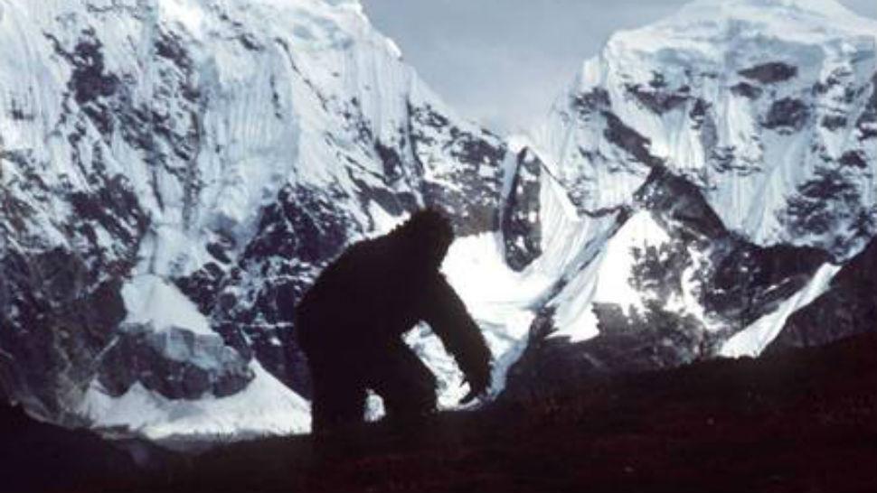 El enigma del Yeti podría estar resuelto