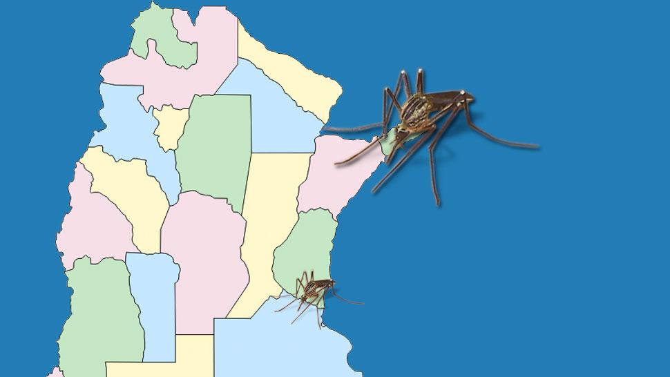 Mapas: así se distribuyen los casos de dengue en el país y en Tucumán ...