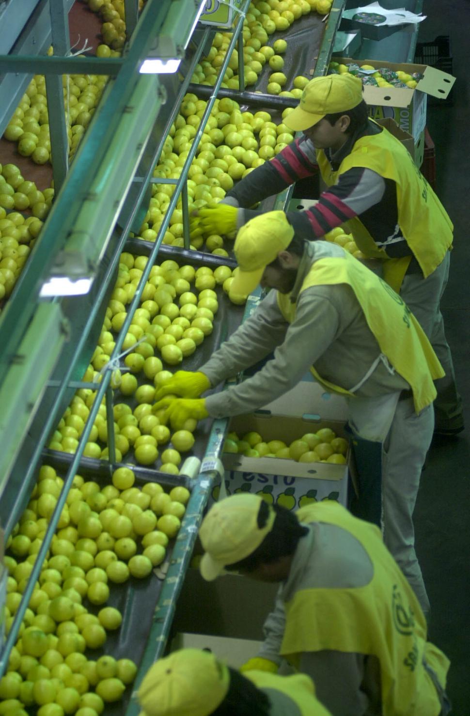 Entre la producción y el mercado externo