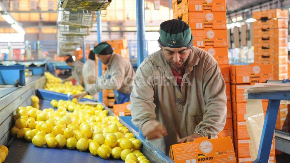 Negociarán por el limón tucumano durante la visita de Obama