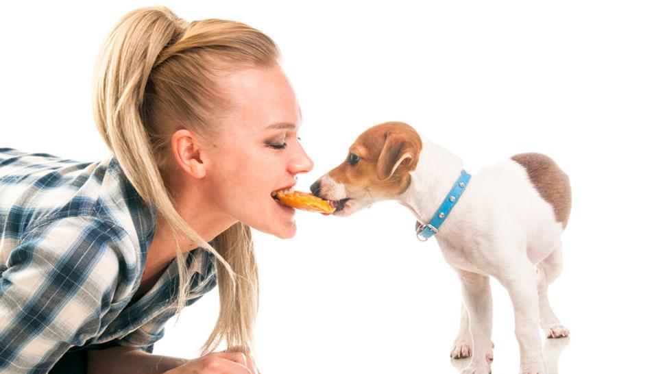 Cinco Comidas Que Nunca Debes Darle A Tu Perro