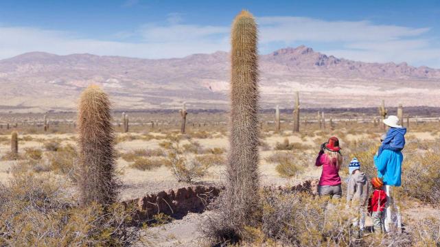 Vacaciones de invierno en Salta: conocé la oferta turística