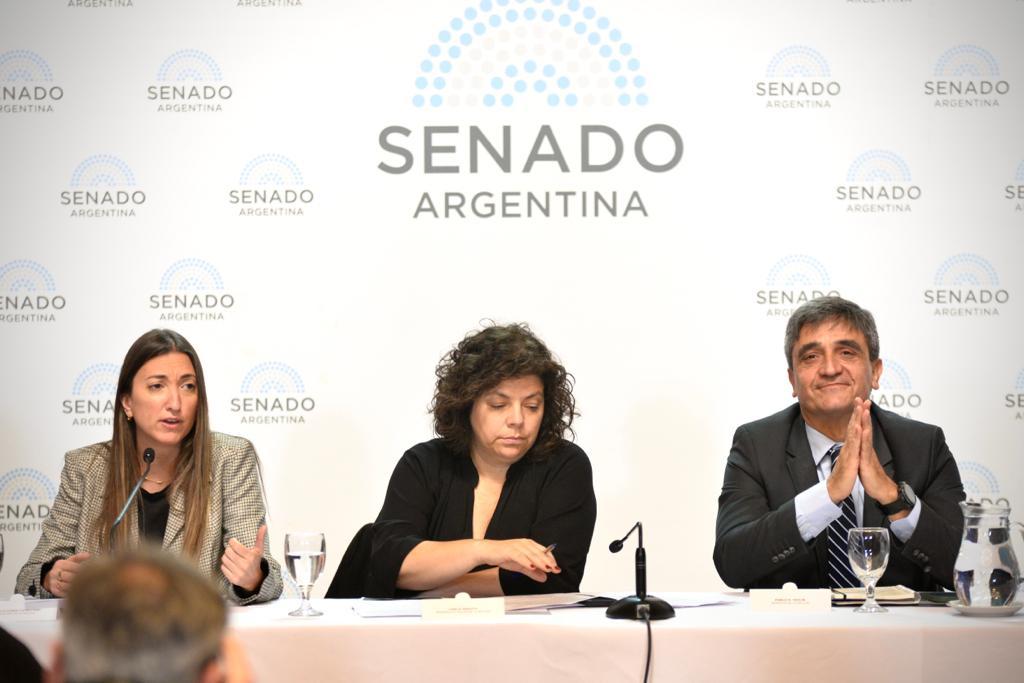 Presentaron Remediar: "Un programa de salud que supera la grieta ...