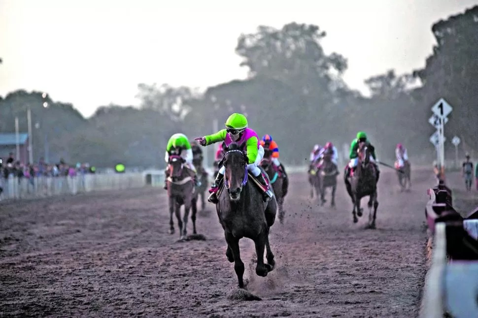 Turf: En la “Polla de Potrillos” está en juego la corona