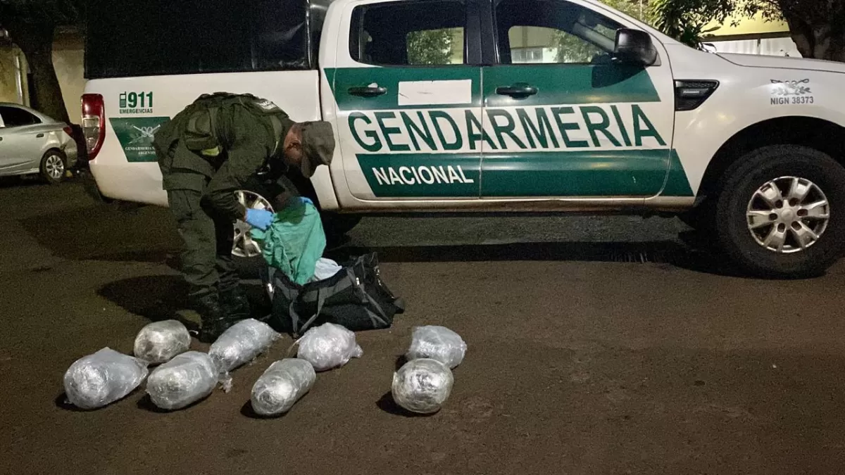 Gendarmería Secuestró Más De Ocho Kilos De Marihuana